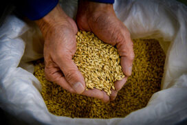 CONCEPT | 【公式】BREWERY1876